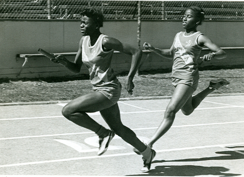 DyeStatCal - internet home of California track