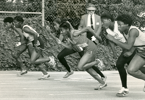 DyeStatCal - internet home of California track